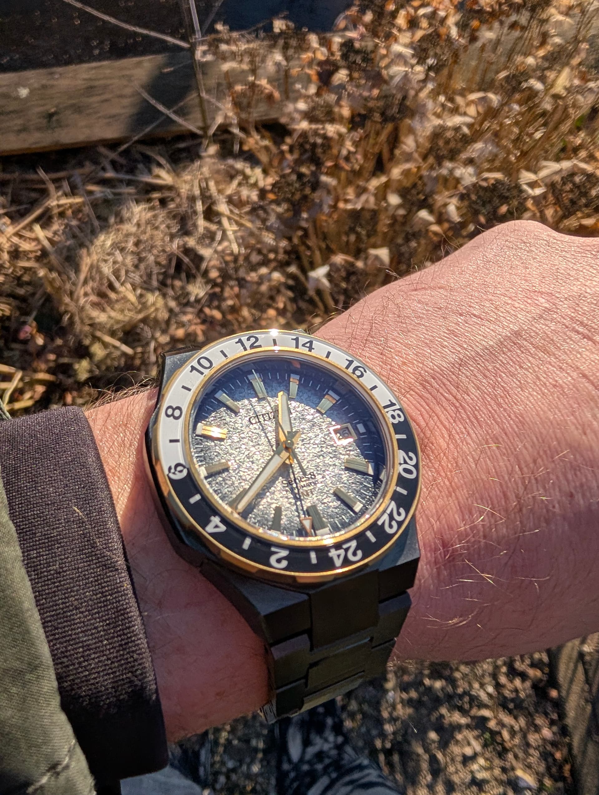 NA CITIZEN NB6035-55H Series 8 / 880 Mechanical Limited Edition Model ...